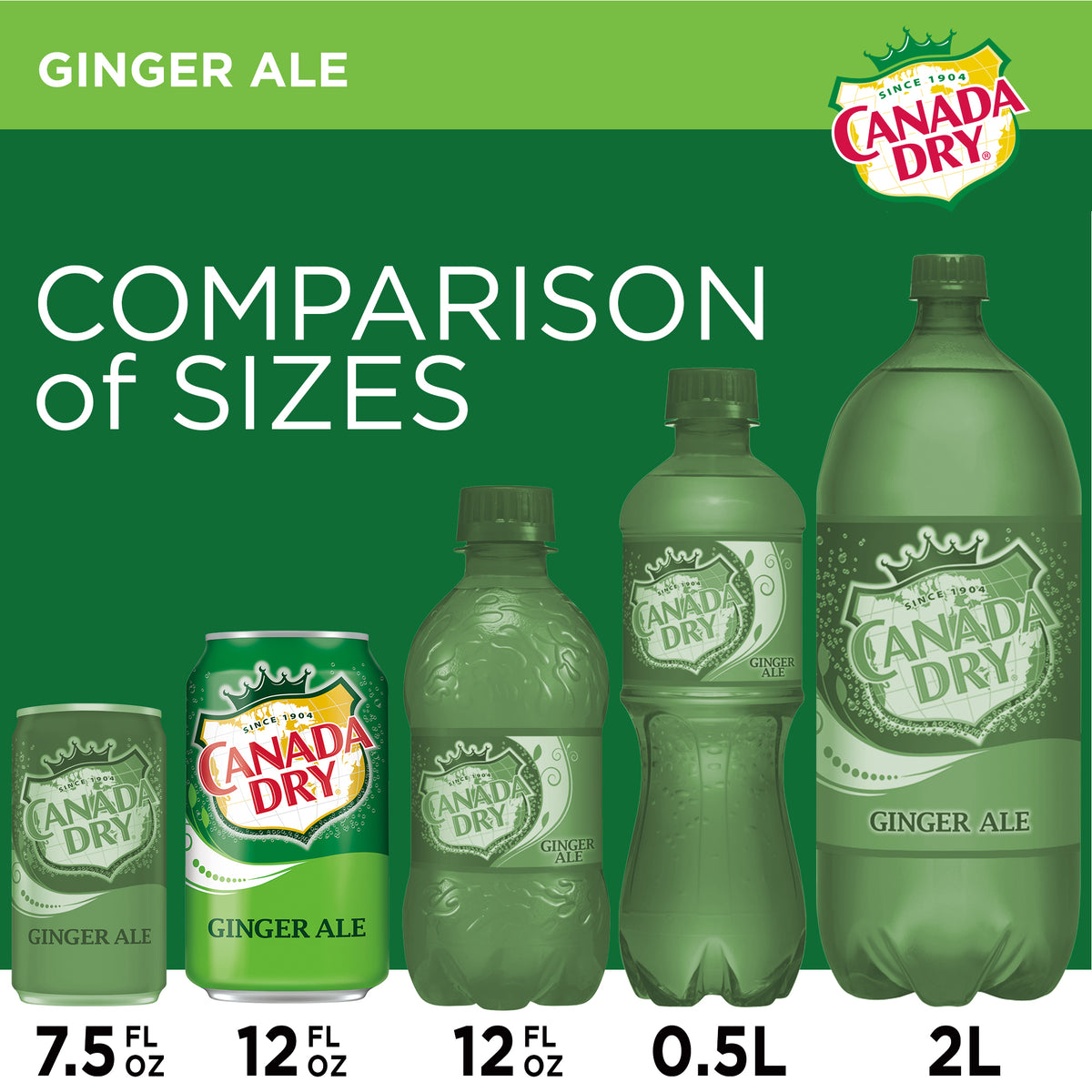 CANADA DRY GINGER ALE, 12 FL OZ CANS, (24 PACK) – Divico.Shop
